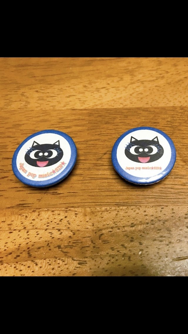 広島から世界へつなぐ糸💫SIN★CAT🐈‍⬛と一緒に 音楽でつなぐ情熱 ️‍🔥パッションの巻🍀 | 日刊わしら - HIROSHIMA ...