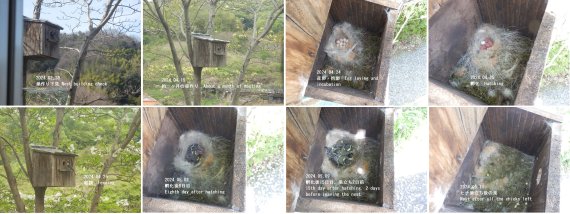 尾道無料英会話道場 | 日刊わしら - HIROSHIMA DAILY WASHIRA