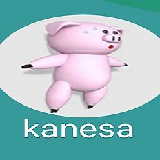 kanesa かねさ | 日刊わしら - HIROSHIMA DAILY WASHIRA